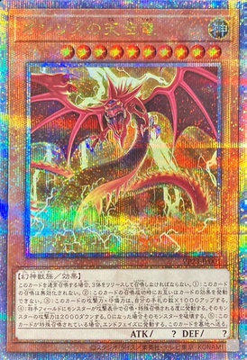 【假面】游戏王 QCSER金碎 天空龙 愚蠢的埋葬 贪欲之壶 VP23单包