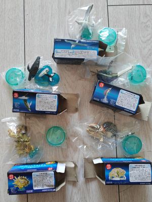 满百包邮正版老货散货海洋堂KAIYODO海洋生物黑潮の鱼第二弹