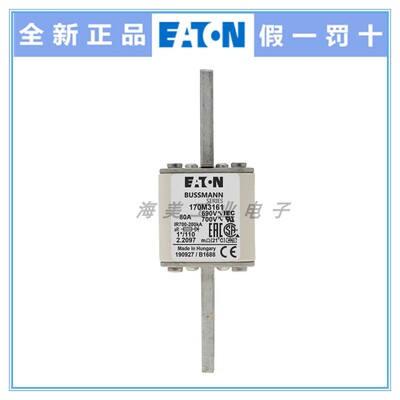 Bussmann 熔断器 170M3161 3164 3165 3166 3167 3170 3173保险丝