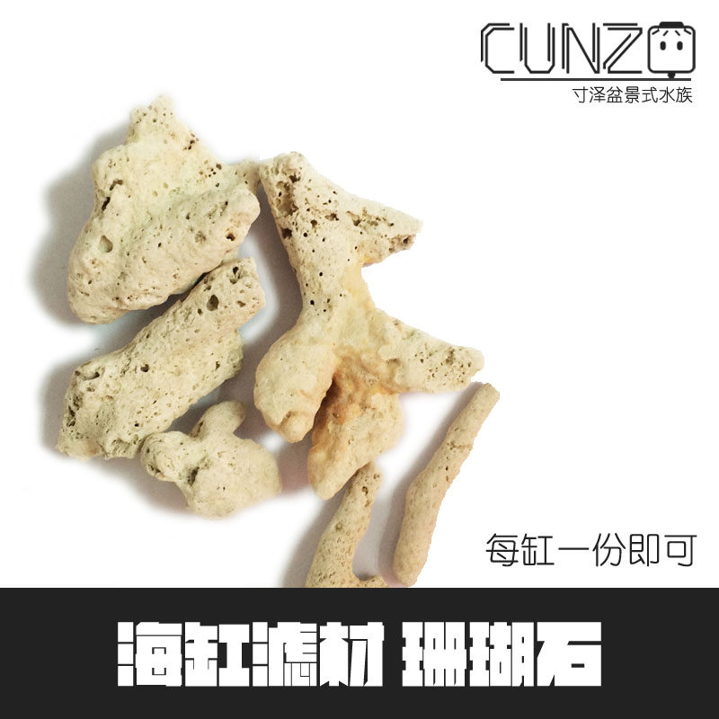 寸泽 珊瑚骨 海缸小丑鱼缸用滤材 死石滤材