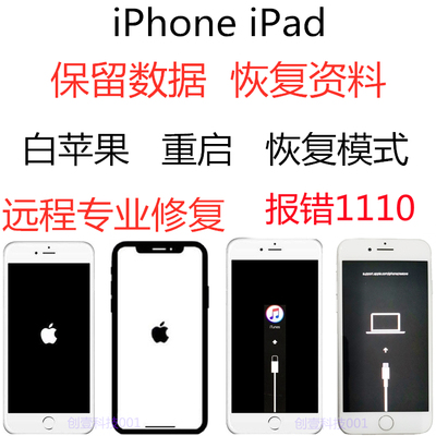 苹果iPhone手机恢复保留数据资料