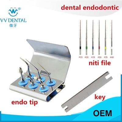 Dental ultrasonic endodontic tips endo tip teeth whitening