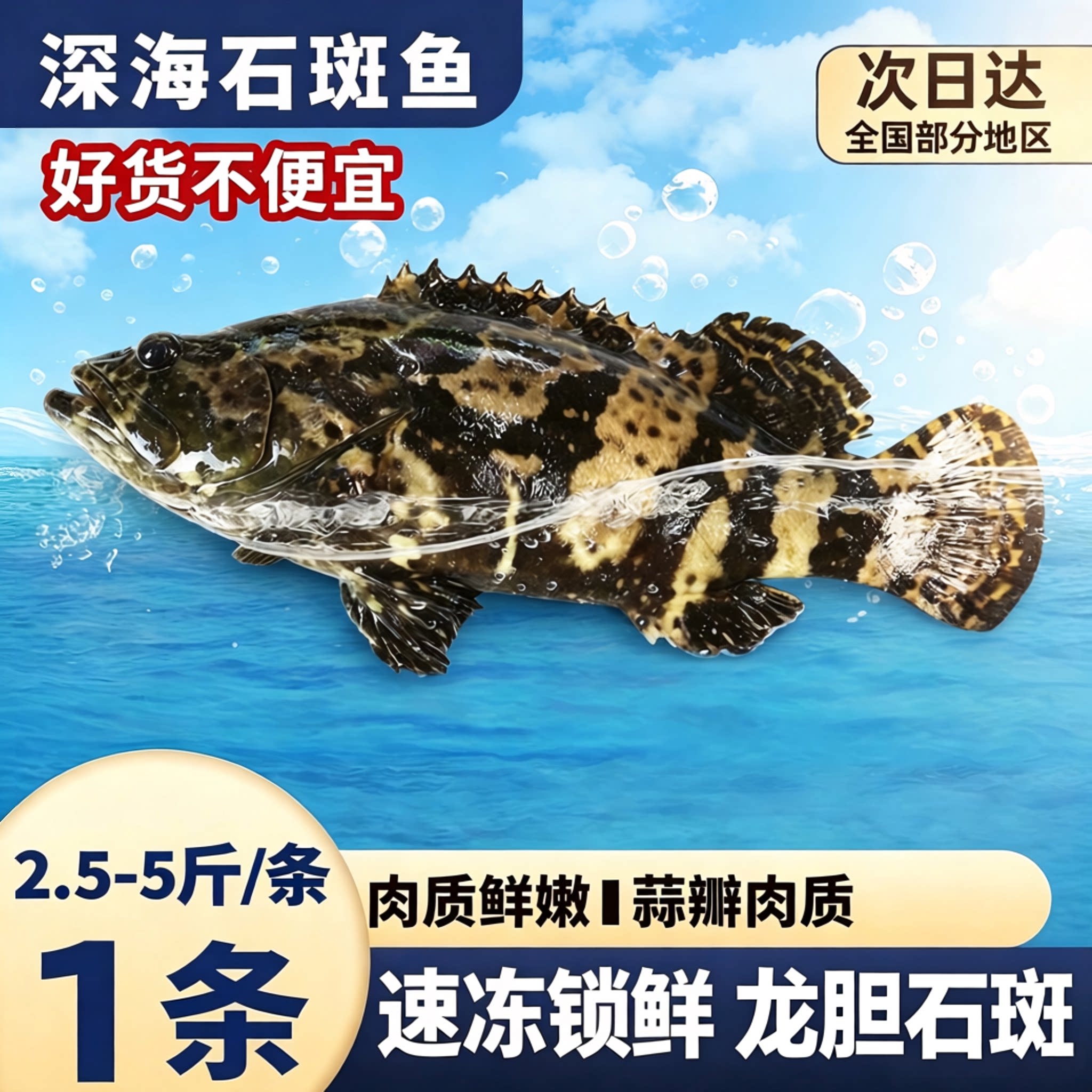 【顺丰到家】龙胆石斑新鲜冷冻超大深海斑鱼龙胆龙趸老虎斑新海鲜