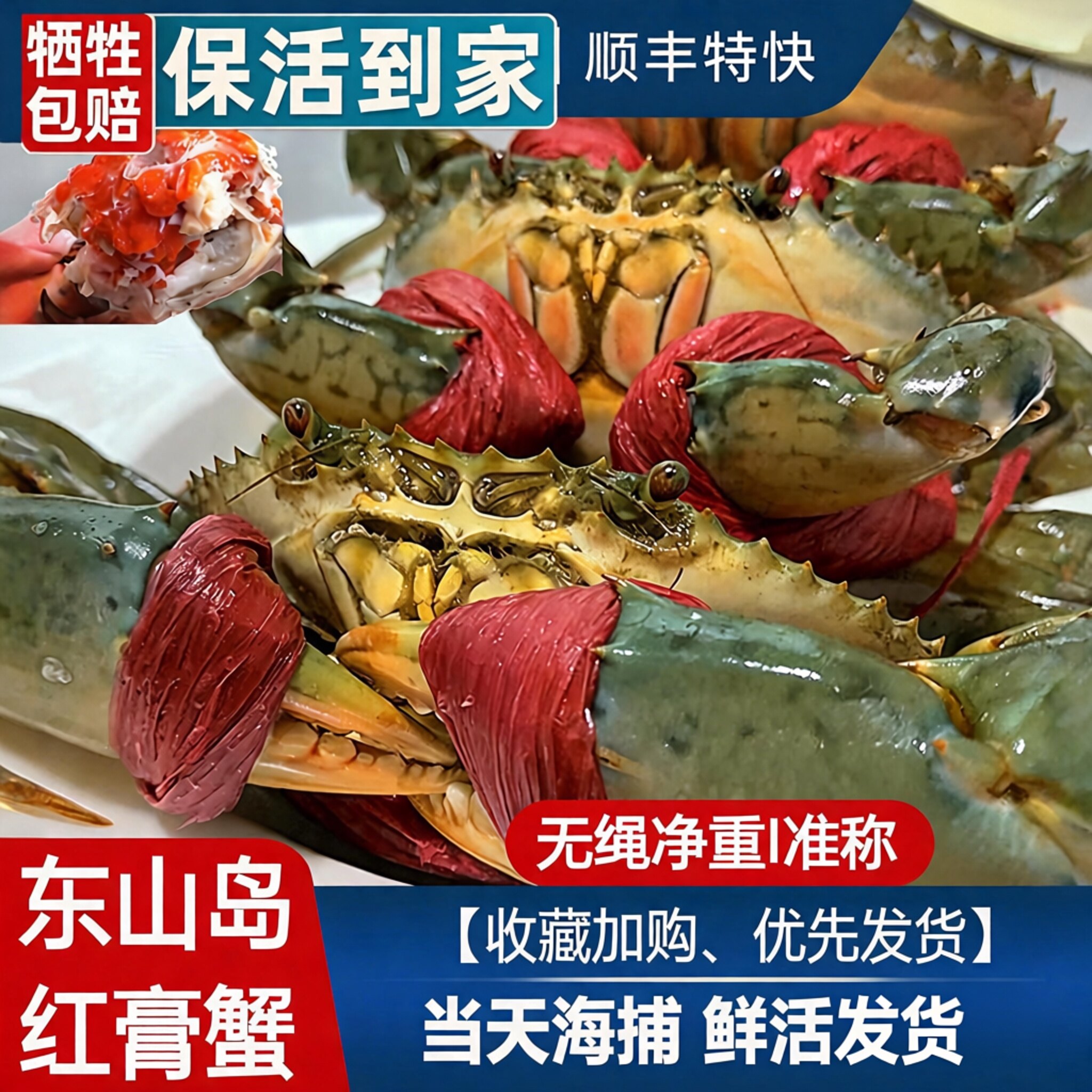 【顺丰到家】青蟹鲜活特大全母红膏蟹海螃蟹大红鲟母蝤蠓年货礼盒