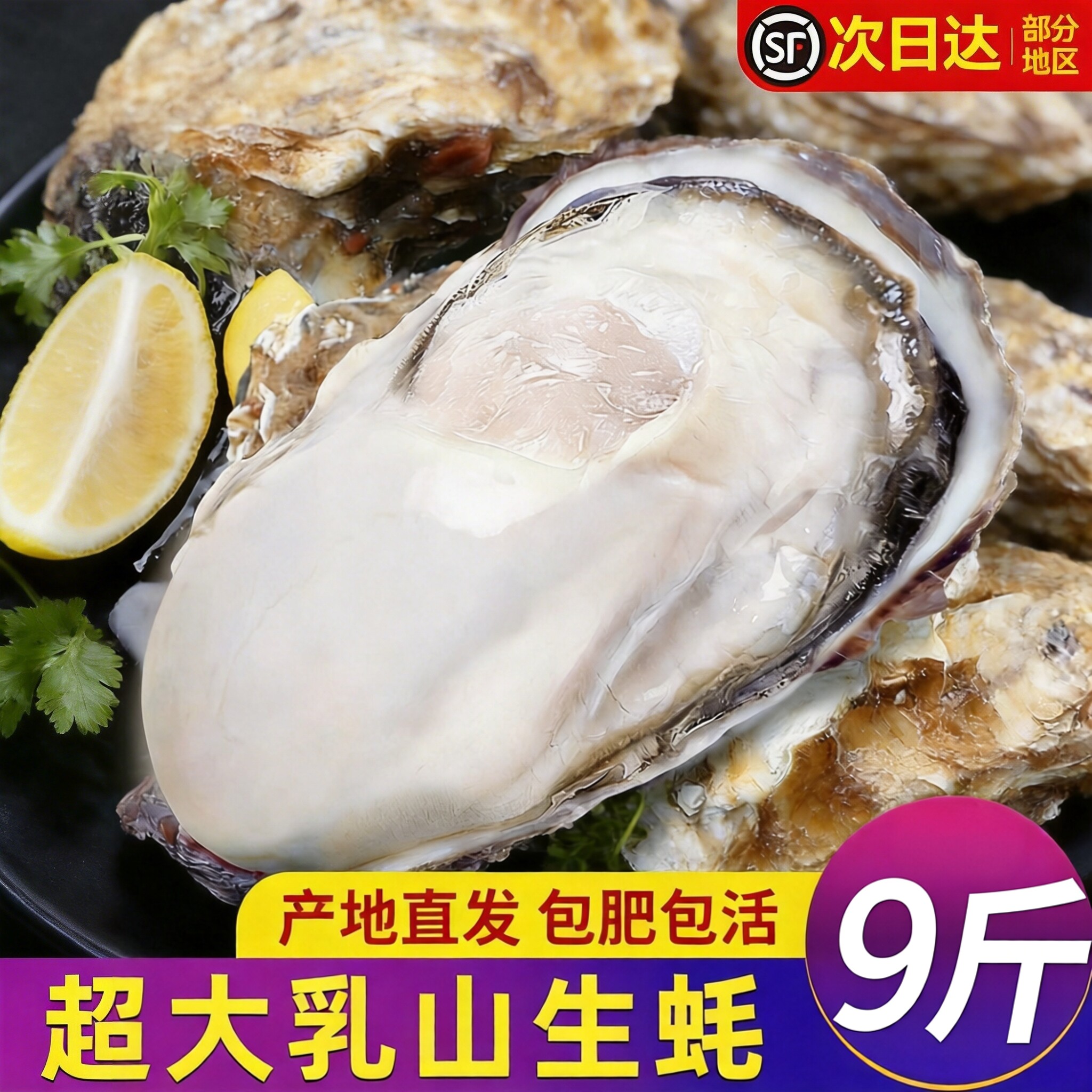 【顺丰到家】乳山大生蚝鲜活特大生蚝海蛎子烧烤生蚝鲜活生鲜牡蛎