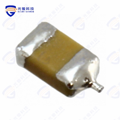 F950J107MSAAM1Q2《CAP TANT 100UF 20% 6.3V 1206》