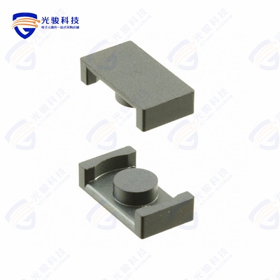 B65525J0000R049《FERRITE CORE ER 800NH N49 2PCS》