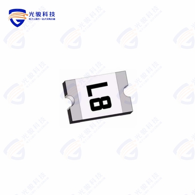 PTSLR12066V500《PTC RESET FUSE 6V 5A 1206》