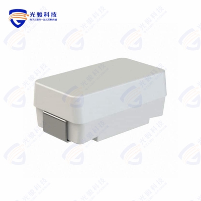 04200002UR《FUSE BOARD MNT 1.5A 250VAC 2SMD》
