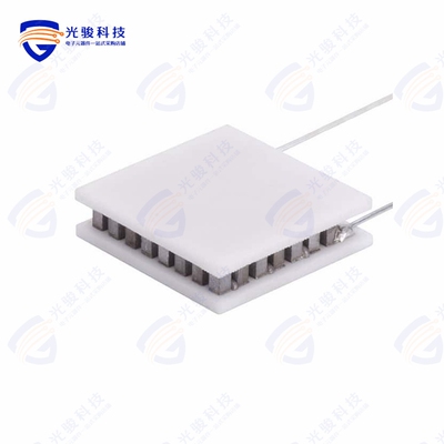430549-507《PELTIR ET20,31,F1A,0909,GG,W2.25》
