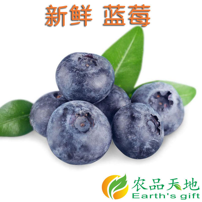 新鲜蓝莓125g/盒 Blueberry西餐点缀沙拉配菜做酱江浙沪满69包邮_虎窝淘