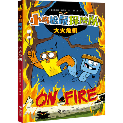 大火危机 接力出版社 (美)詹姆斯·伯克斯 著 孙鹏 译  KC