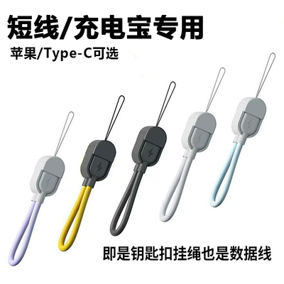 适用苹果iPhone14/13数据线16厘米短便携PD65W充电器手机8p快充充电宝短线XR11超短16cmMax迷你15Pro