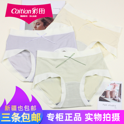 三条包邮彩田轻薄无痕莫代尔棉短裤16133夏舒适透气女士内裤16135