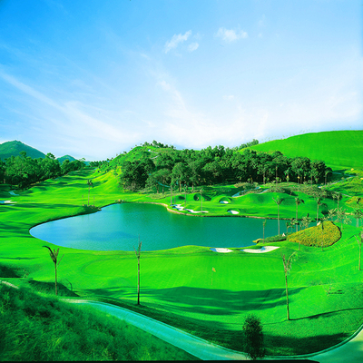 FJ01289靠山聚宝盆球场客厅沙发墙田园蓝天山水草地风景画背景墙