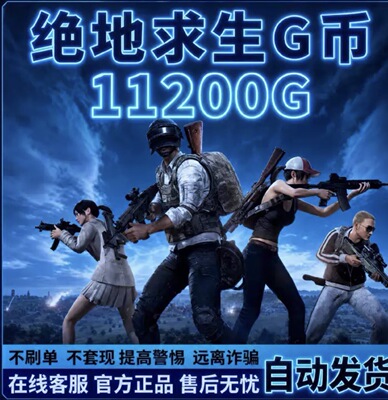 PUBG绝地求生G币 11200g币  steam CDK兑换码coin吃鸡gb点券