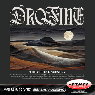 PS AI PROCREAT维多利亚复古新古典主义哥特花体组合风英文字体包