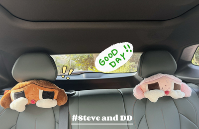 Steve和豆豆哭娃汽车头枕护颈枕车载可爱哭娃娃车用枕头车内座椅
