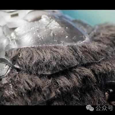 Prime1变形金刚系列雕像