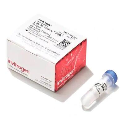 货号：11668019 Lipo2000转染试剂脂质体2000 11668-019