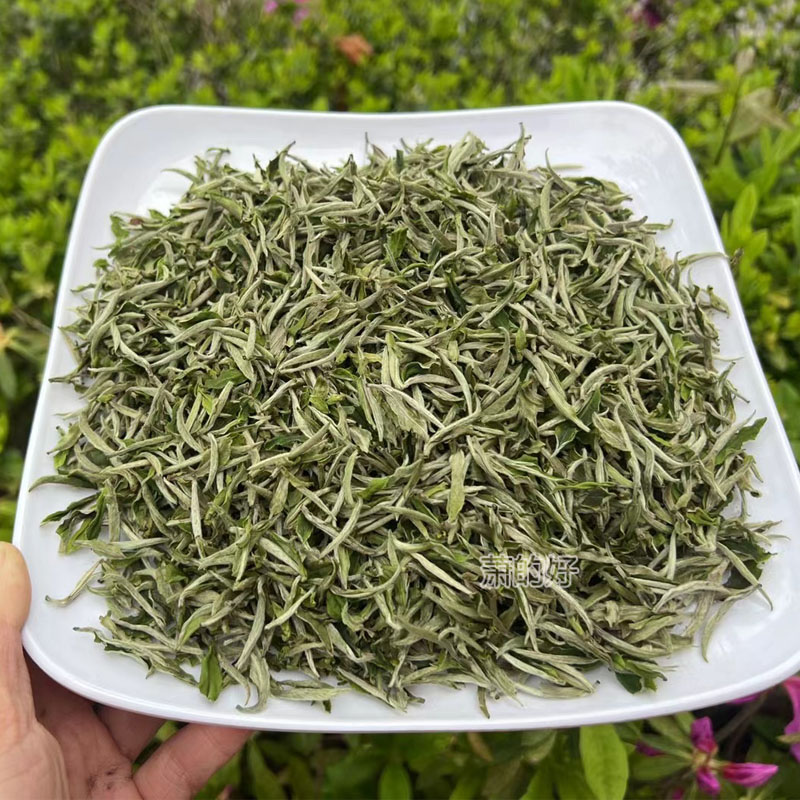 2024年高山首采白茶白牡丹毫香浓郁花香牡丹茶叶散茶