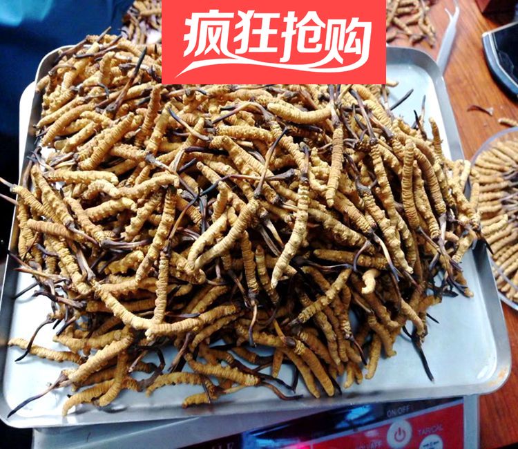西藏特产那曲正宗冬虫夏草4根每克 虫草盒装 顺丰包邮送精美礼品