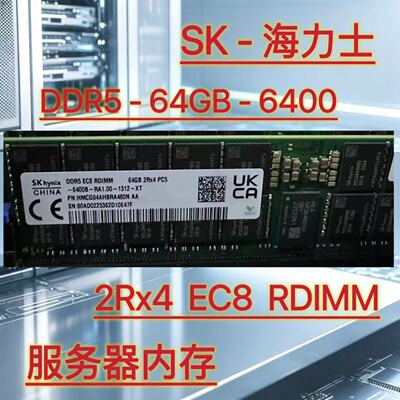 海力士DDR564GB6400服务器内存