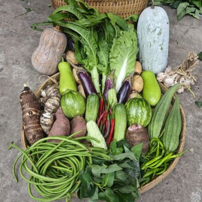 农家新鲜时令蔬菜青菜萝卜蒜苗