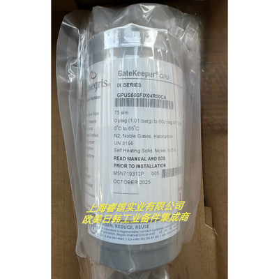 美国ENTEGRIS英特格 WGFGMBRR4，过滤器