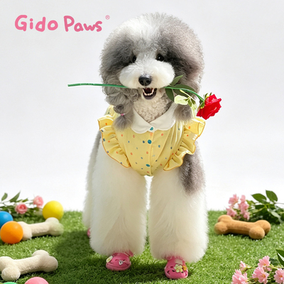 GIDO PAWS狗狗公主风夏日薄款超仙中大型犬可卡布西高地巨贵裙子