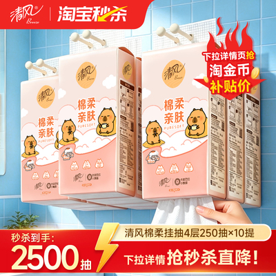 清风悬挂式抽纸4层250抽10提