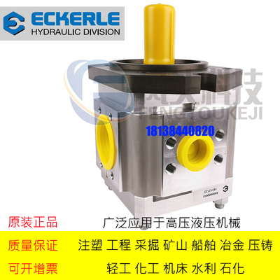 原装德国ECKERLE艾可勒齿轮泵 EIPC6-250RA23-10注塑机伺服齿轮泵