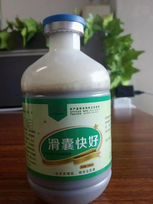 滑囊快好鸡鸭鹅关节炎关节变形跛行站不起滑液囊炎支原体肿大