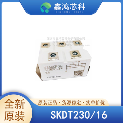 SKDT230/16SEMIKRON/赛米控