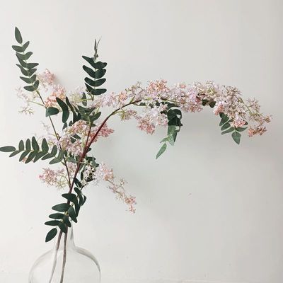 靓槐树花样中国树枝枝娟花粉色1