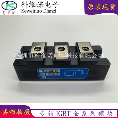 PD230S16 PD150S16 PD200S16 PD100S16 PD20116 PD15116 DD200KB1