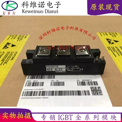 PD15116 PD20116 PDH15116 PDH20116原装