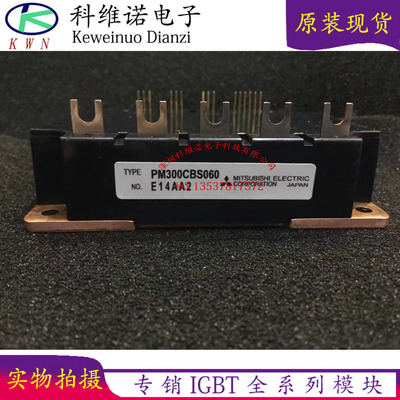 PM300CBS060 PM300CS1H060 PM450CS1H060 PM200CBS60