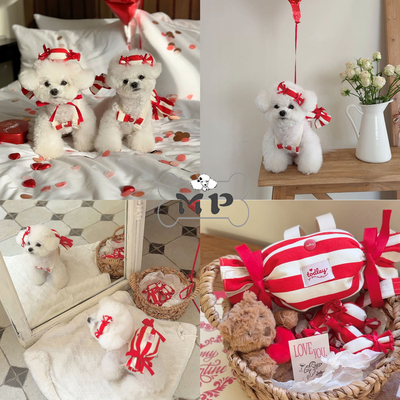 韩代宠物狗狗糖果背包胸背牵引绳