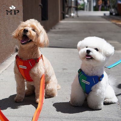 韩代IC宠物弹性缓冲胸背牵引绳
