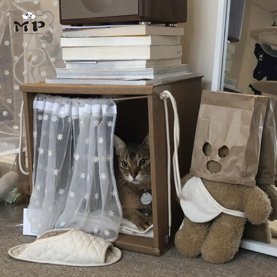 猫薄荷枕头窗帘纸箱盒猫窝gotta