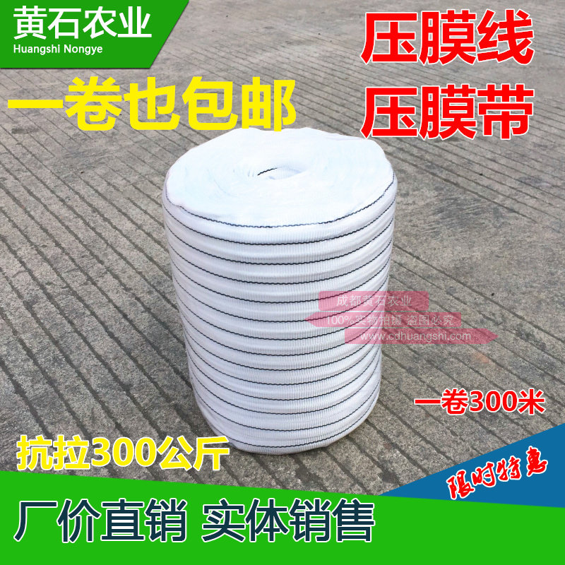蔬菜大棚 园艺温室 大棚配件 涤纶丝压膜线 抗老化压膜绳 压膜带