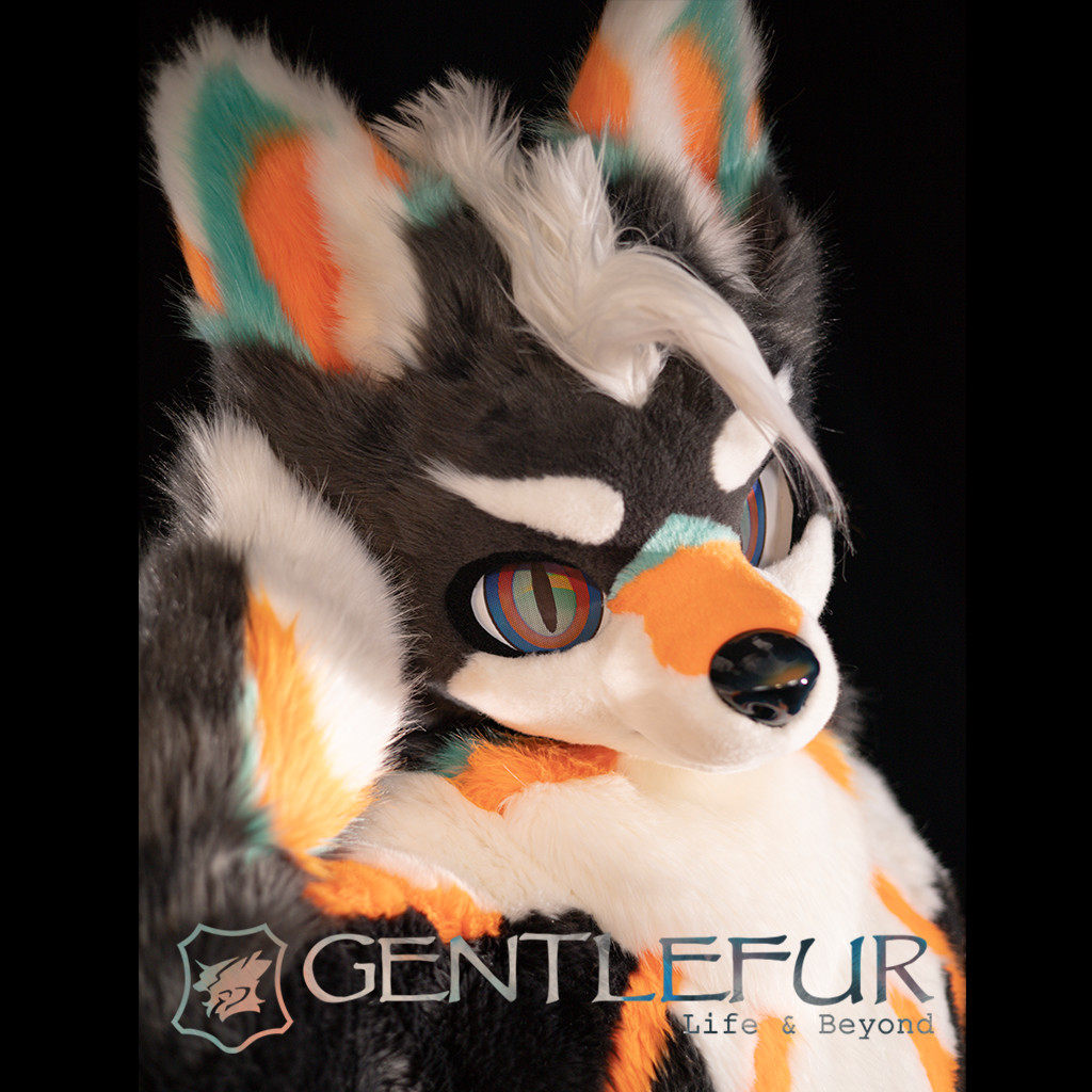 Gentlefur 兽头 头套 定做 Furry 定制展示一一巫云