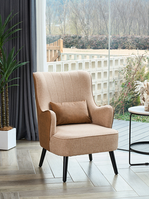 北欧单人沙发轻奢现代小户型客厅家用懒人老虎椅休闲洽谈桌椅组合