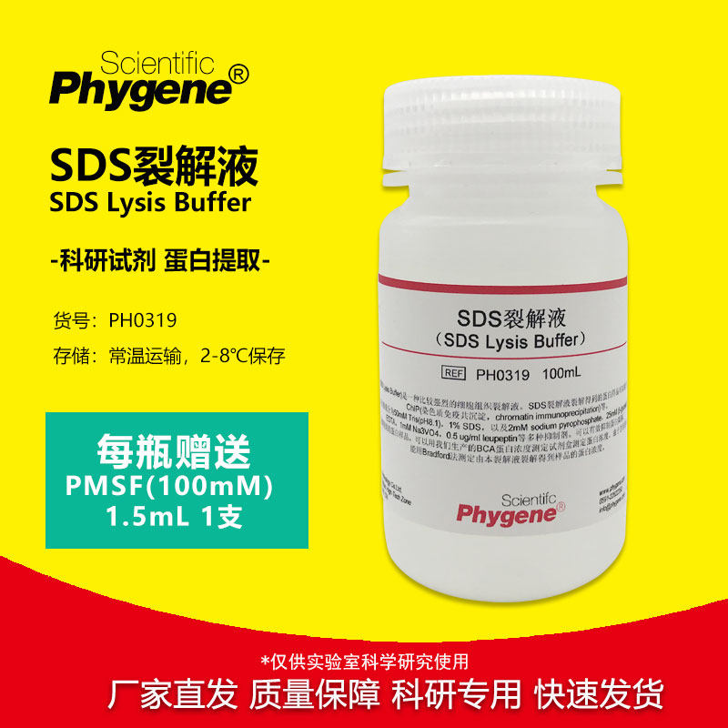SDS裂解液 100mL 蛋白提取 科研实验试剂 包邮 [PH0319 PHYGENE]