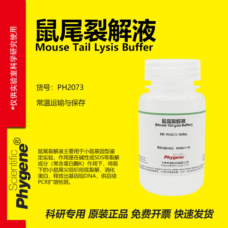 鼠尾裂解液 DNA提取 小鼠基因型鉴定 Mouse Tail Lysis Buffer