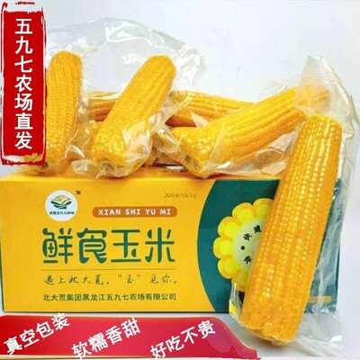 正宗东北五九七农场黄糯玉米真空包装早餐代餐即食粘玉米熟黏玉米