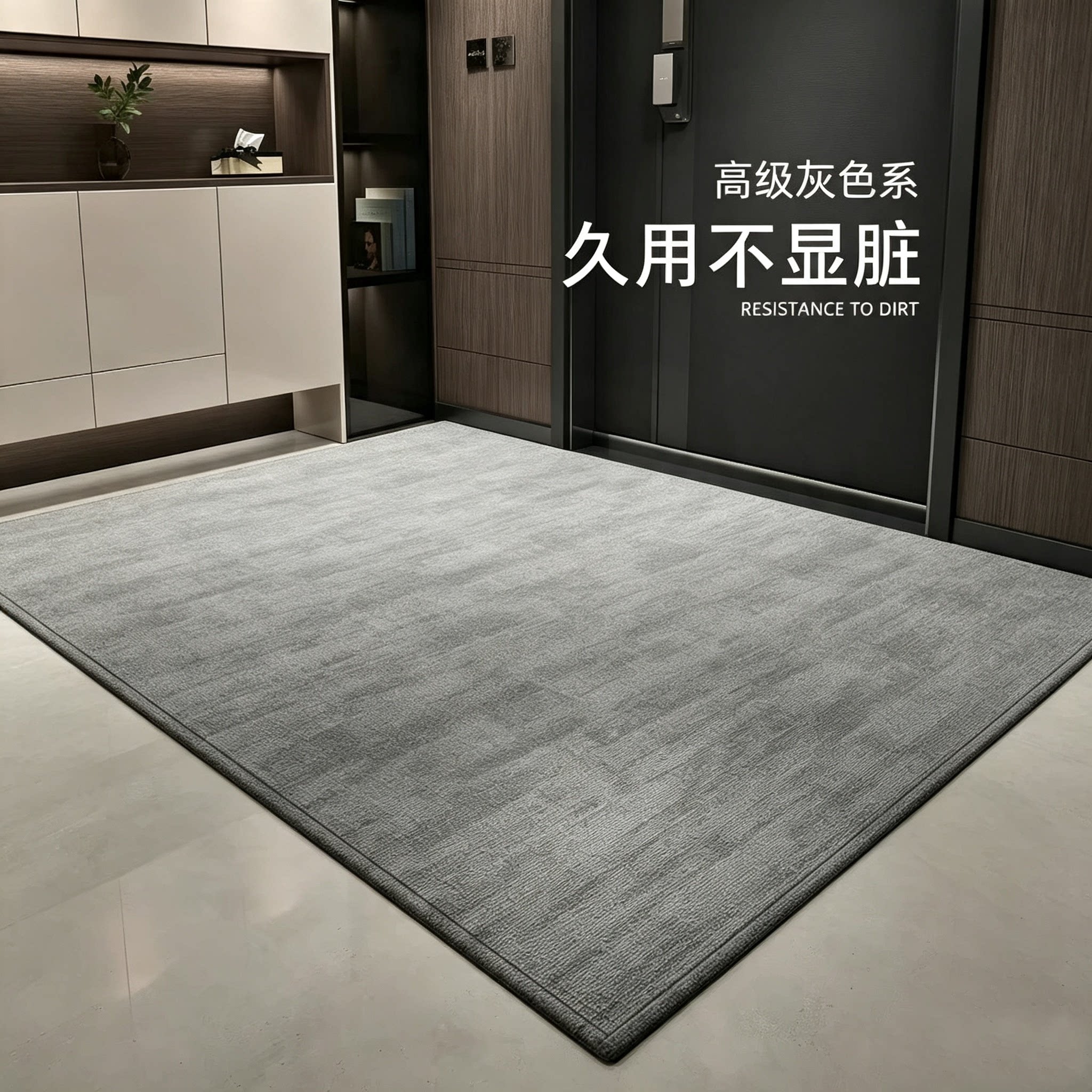 地垫入户门垫2026新款高级感大门口进门脚垫耐脏防滑室内家用地毯
