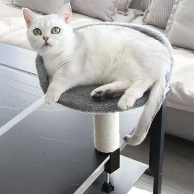 Cat Hammock Perch Desk Clamp Cat Bed With Soft Pad