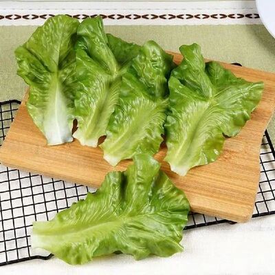 【Realistic Artificial Lettuce Simulation Vegetable Model